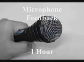 Microphone Feedback Meme Sound Effect - Voicy