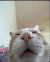 Abyss clipped Meme Sound Effect - Voicy