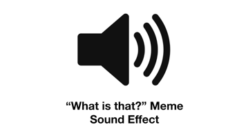 What is that? Meme Sound Effect - Voicy