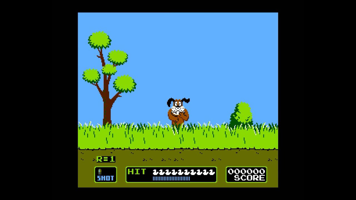 duck hunt dog laugh Meme Sound Effect - Voicy