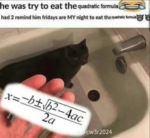 Scowl Sounds and Sound Effects - Voicy