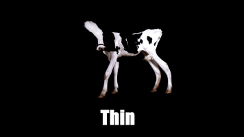 Fat Moo Meme Sound Effect - Voicy