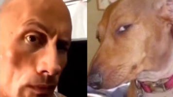 Goofy Ahh Shi Sounds - Voicy