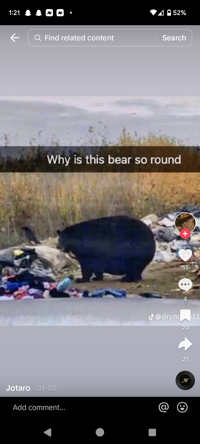 Yam time Meme Sound Effect - Voicy