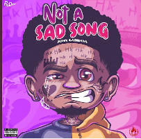 Not a sad song Meme Sound Effect - Voicy