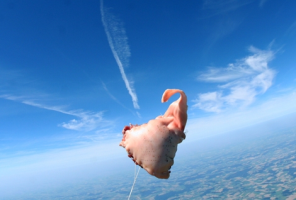 Drop Meat Meme Sound Effect - Voicy