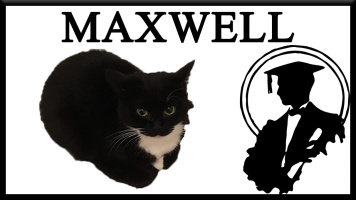 Maxwell Meme Sound Effect - Voicy