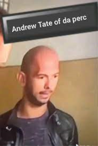 Andrew Tate music L Meme Sound Effect - Voicy