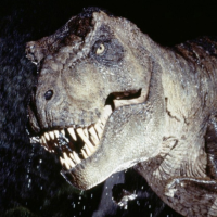 Dinosaur growl Meme Sound Effect - Voicy