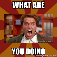 What are you doing! Meme Sound Effect - Voicy