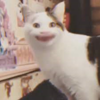 TIMMAH Meme Sound Effect - Voicy