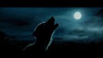 Official Werewolf Soundboard - Voicy