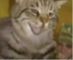 Aww shucks Meme Sound Effect - Voicy