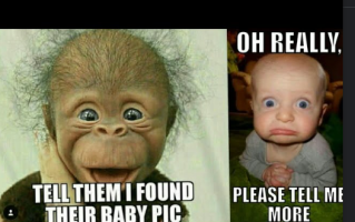 YOUR DEATH IS NEAR☽ Meme Sound Effect - Voicy