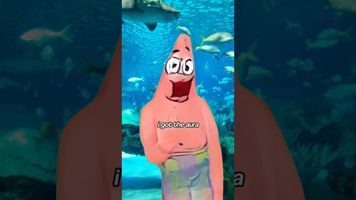 WE CAN GO FOR GYAT FOR GYAT Meme Sound Effect - Voicy