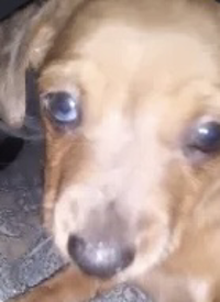 ITS COMING OUT🗣️ Meme Sound Effect - Voicy