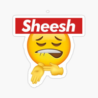 SHEESH Meme Sound Effect - Voicy