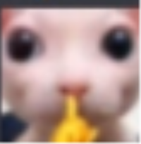 Hmmmm Meme Sound Effect - Voicy