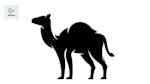 Official Camel Sound effects Soundboard - Voicy