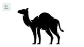 Official Camel Sound effects Soundboard - Voicy