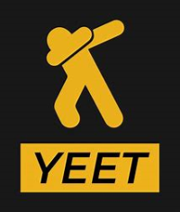 Yeeet Meme Sound Effect - Voicy