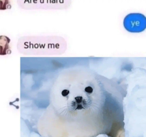 rizz.png Meme Sound Effect - Voicy
