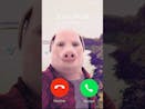 John Pork Is Calling.... Meme Sound Effect - Voicy