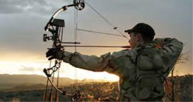 Bow Sounds and Sound Effects - Voicy