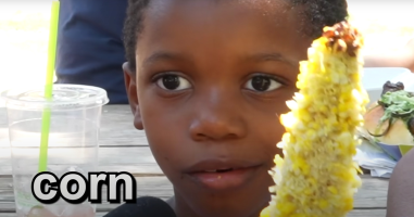 Corn Sounds and Sound Effects - Voicy