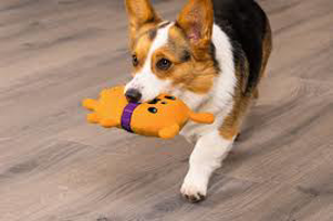 Dog Toy Sounds and Sound Effects - Voicy