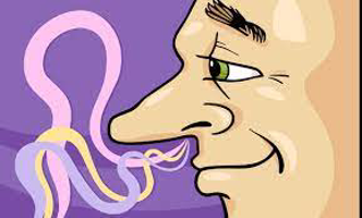 Stinky Sounds and Sound Effects - Voicy